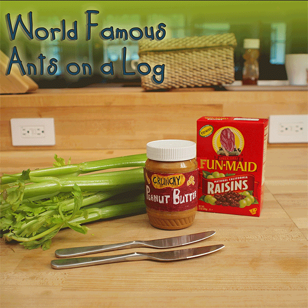 World Famous Ants on a Log – Making Studio